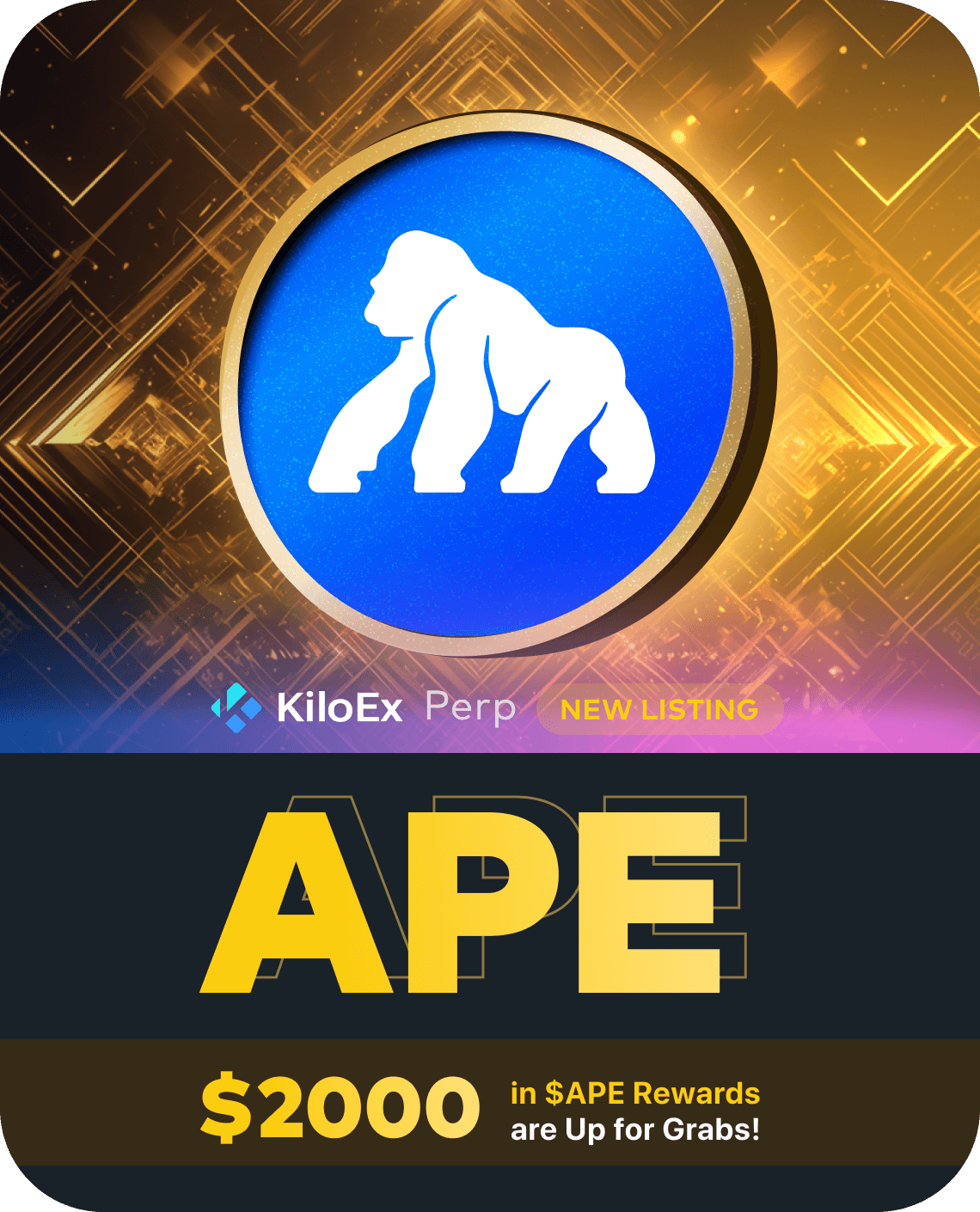 Trade Bitcoin, Perpetual DEX on opBNB and Base | KiloEx